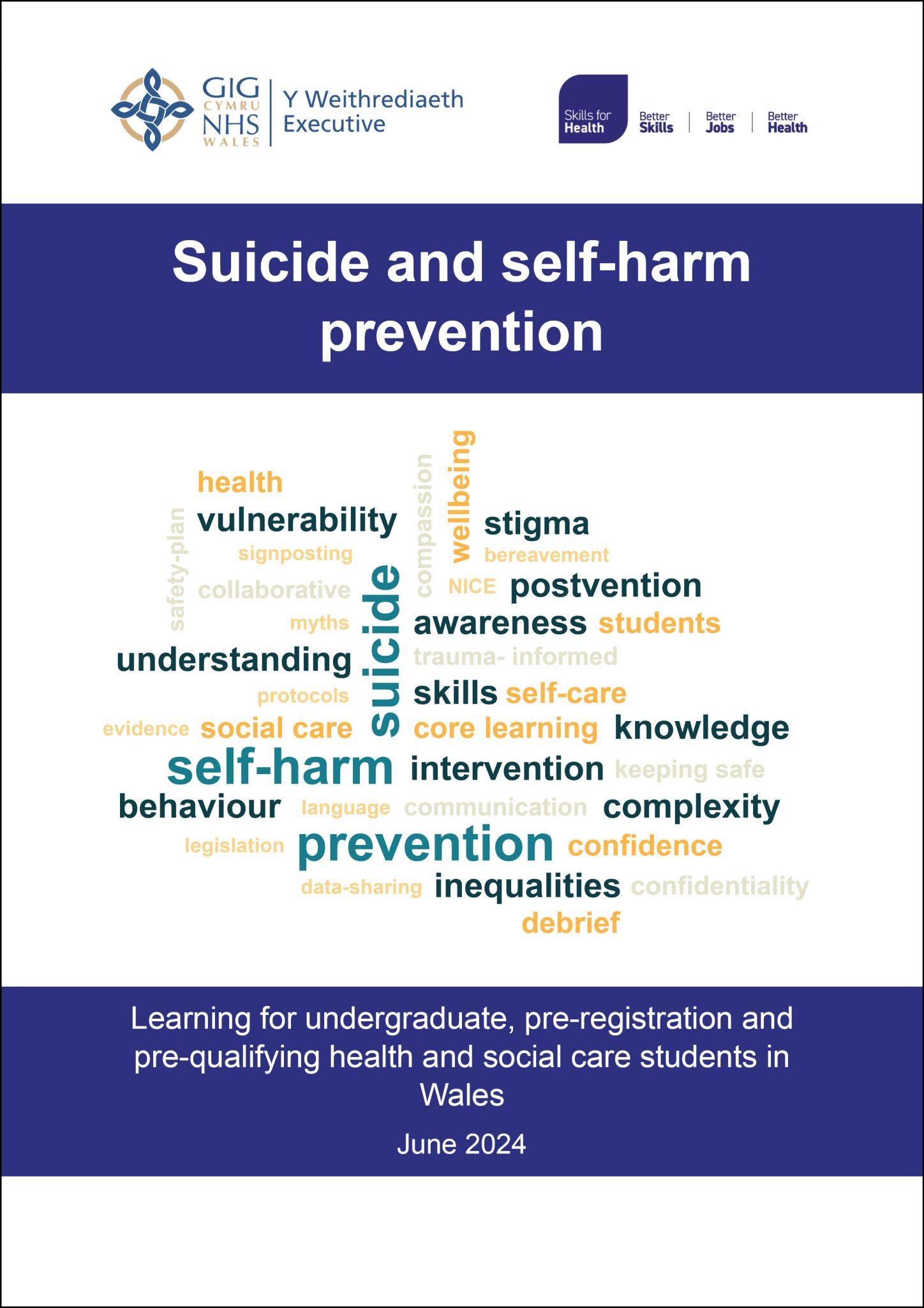 Developing Undergraduate and Pre-registration Learning for the ...